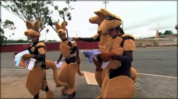 Amazing Race: Slow Down Kangaroo Jack - VH Corner